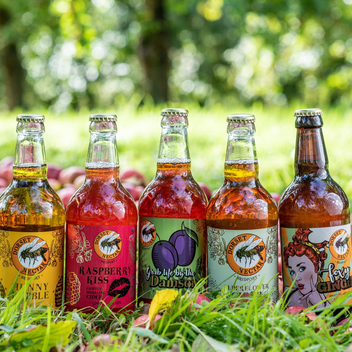 Cider Medley Collection - a mix of Traditional Apple and Fruit ciders ...