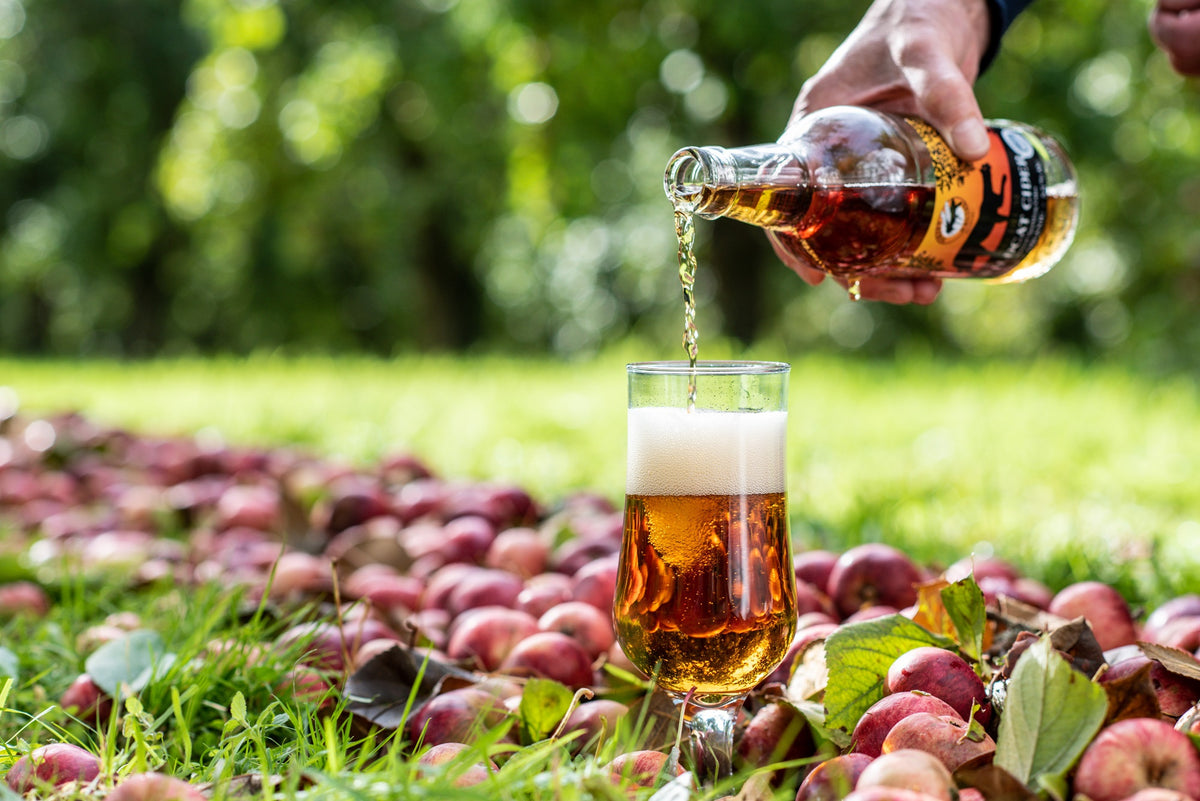 Cider Farm Tour and Tastings – Dorset Nectar Organic Cider